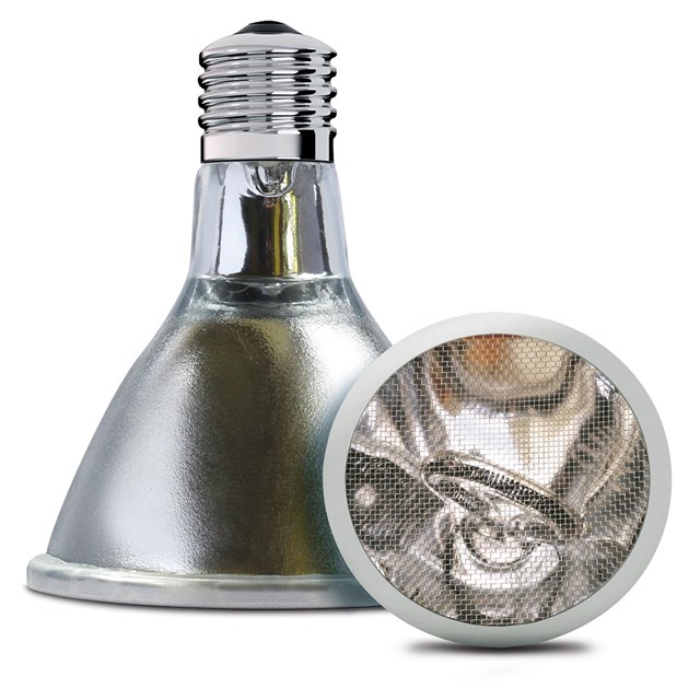 Deep Heat Projector 50W för Reptiler | - CyberZoo