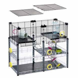 Ökenråtta - Gerbil - Mat - Bur & Mer - Komplett Utbud | - CyberZoo