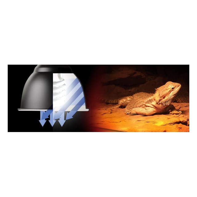 Exo Terra Light Dome 18 cm | Terrarium | - CyberZoo