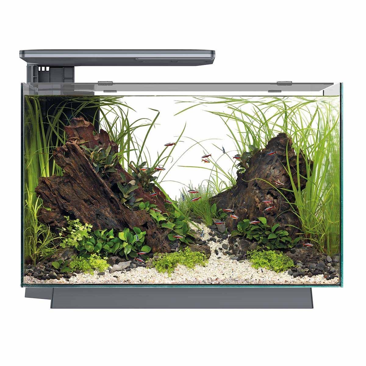 SuperFish Quadro 70 PRO Akvarium - Svart | - CyberZoo