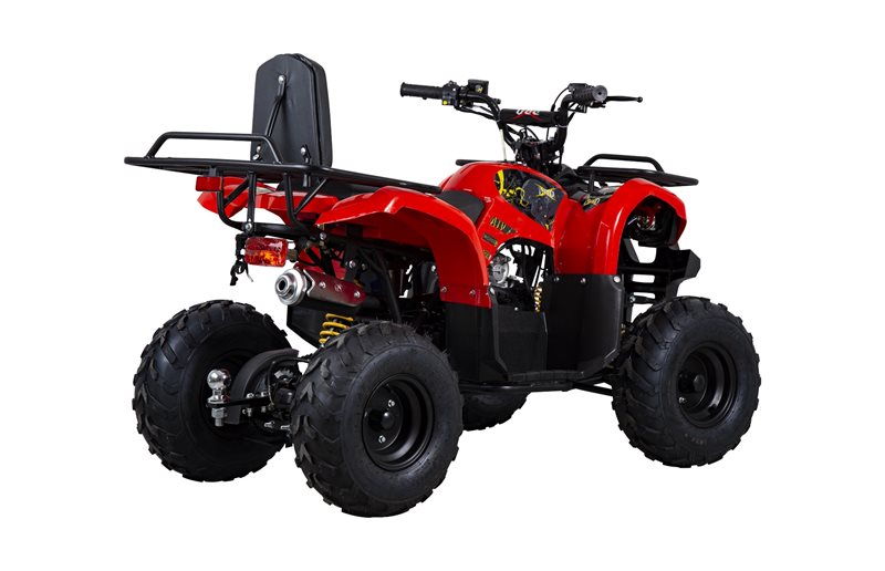X-Pro Fyrhjuling Worker Atv 110Cc Svart Med Back Red online