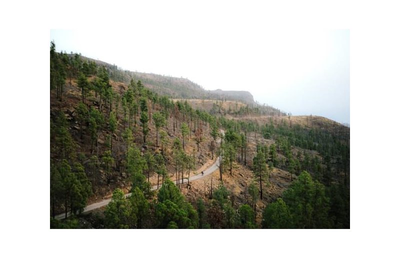 Orbea Gravel Bike Terra M21Eteam 1X Infinity Green Carbon View Matt | Cykloteket.se