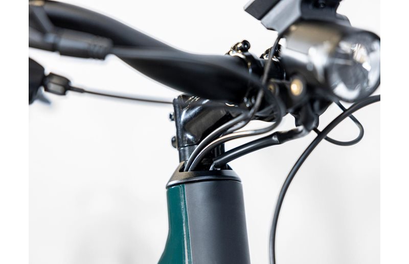 Trek Elcykel Dam Allant+ 6 Lowstep 545wh Juniper online