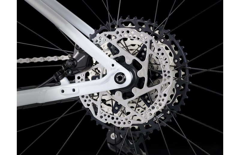 Trek MTB Procaliber 8 Grey online